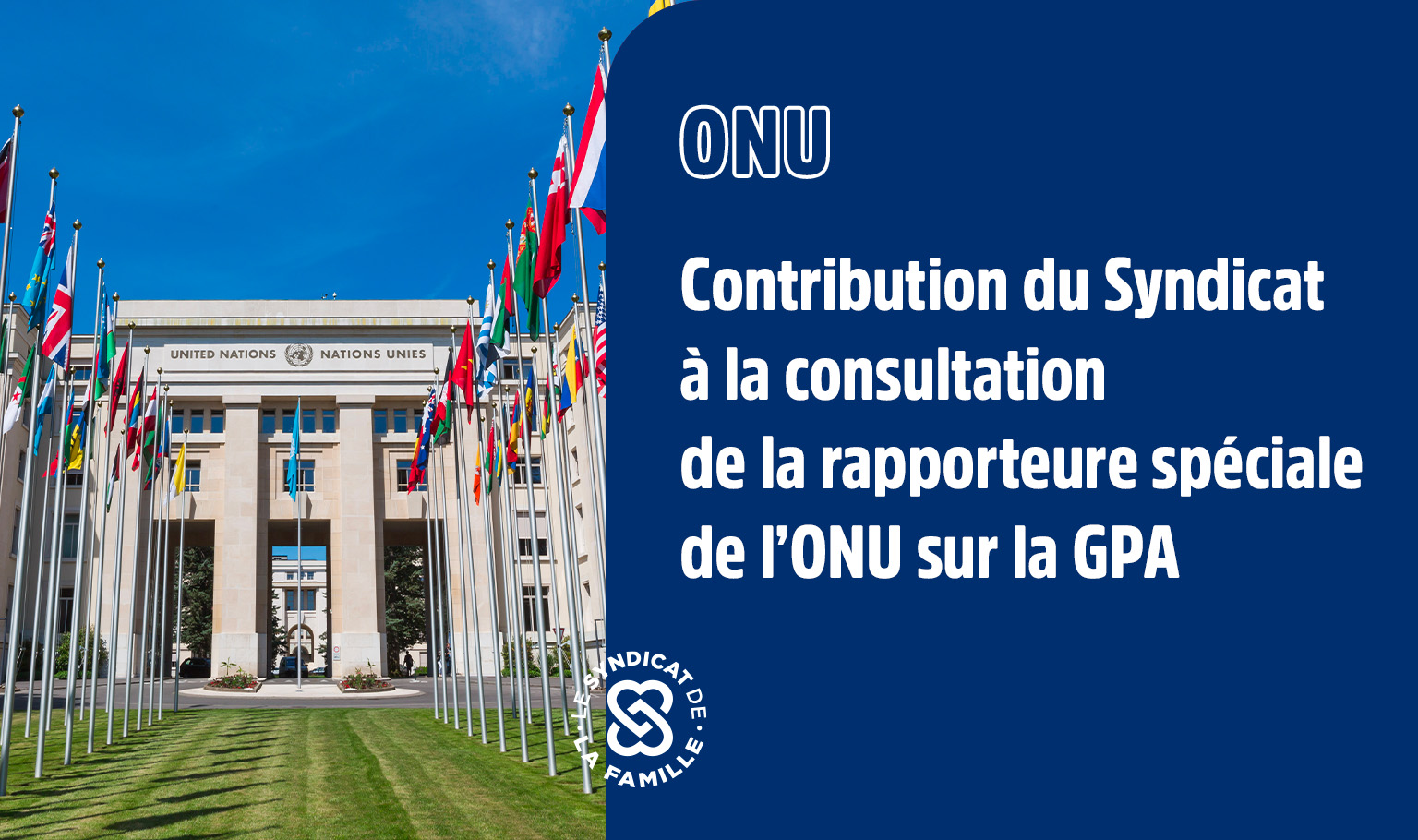 Contribution du Syndicat à la consultation de la rapporteure spéciale ...